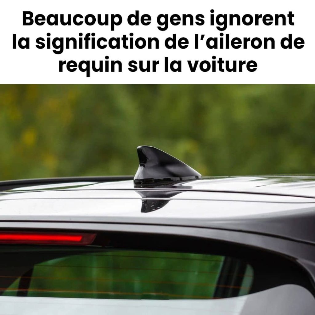 L'Effet Pratique de l'Extension Automobile : Plus qu'une Simple Note de ...